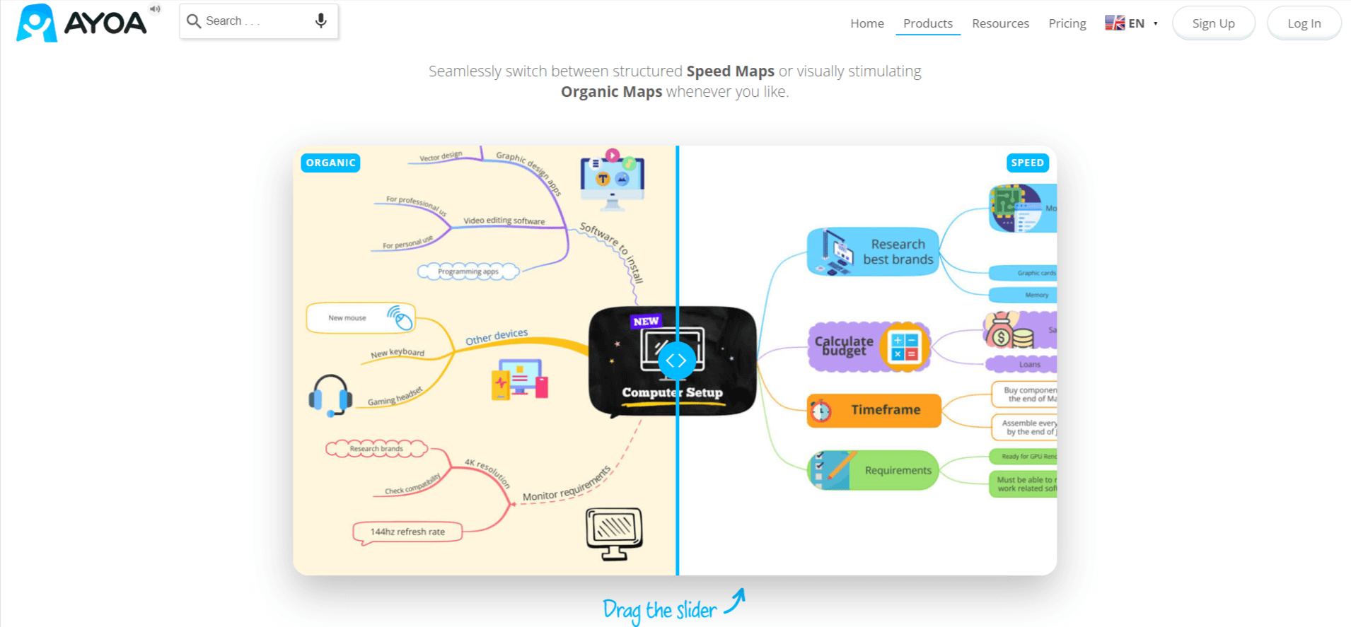 Types and Features of Mind Maps in 2023 - A Complete Guide