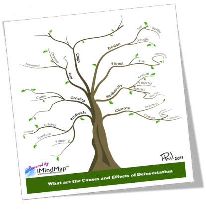 Types and Features of Mind Maps in 2023 - A Complete Guide