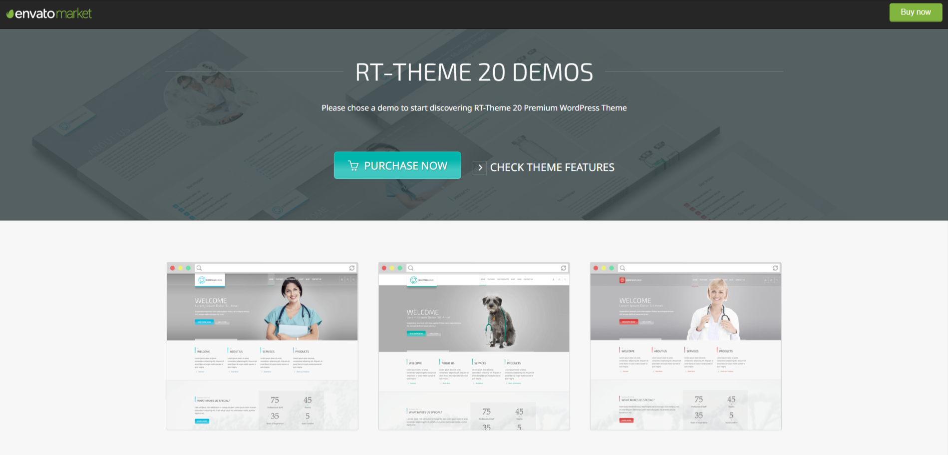 10+ Best Medical & Healthcare WordPress Themes for 2023 - SmallBusinessWeb